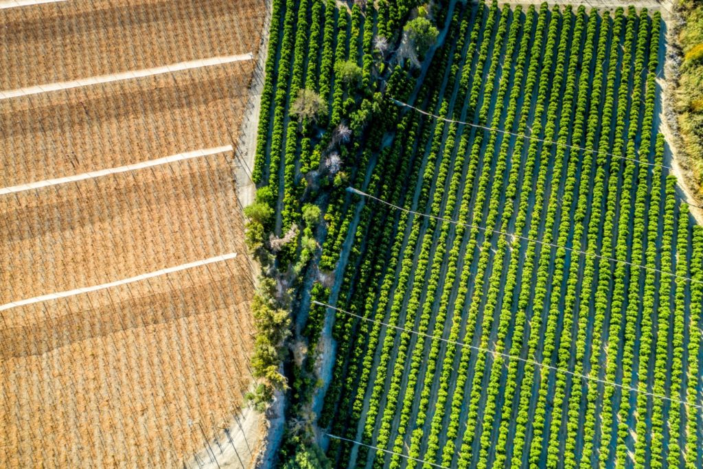 Agriculture | Ramdesk | Industrial Trading Co.